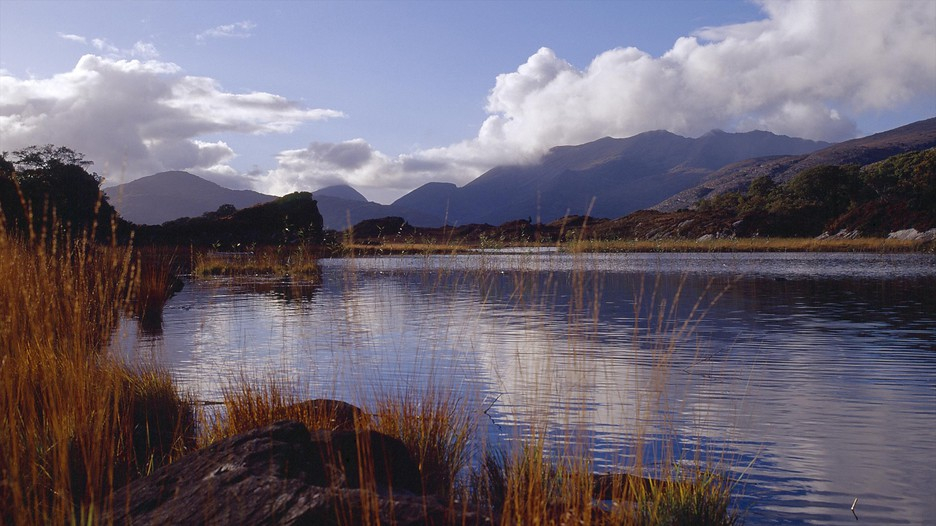 Killarney City Vacation Guide - World Words