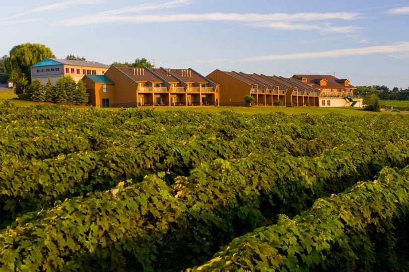 Hotels Among the Vines: Five Top Vineyard Resorts - World Words